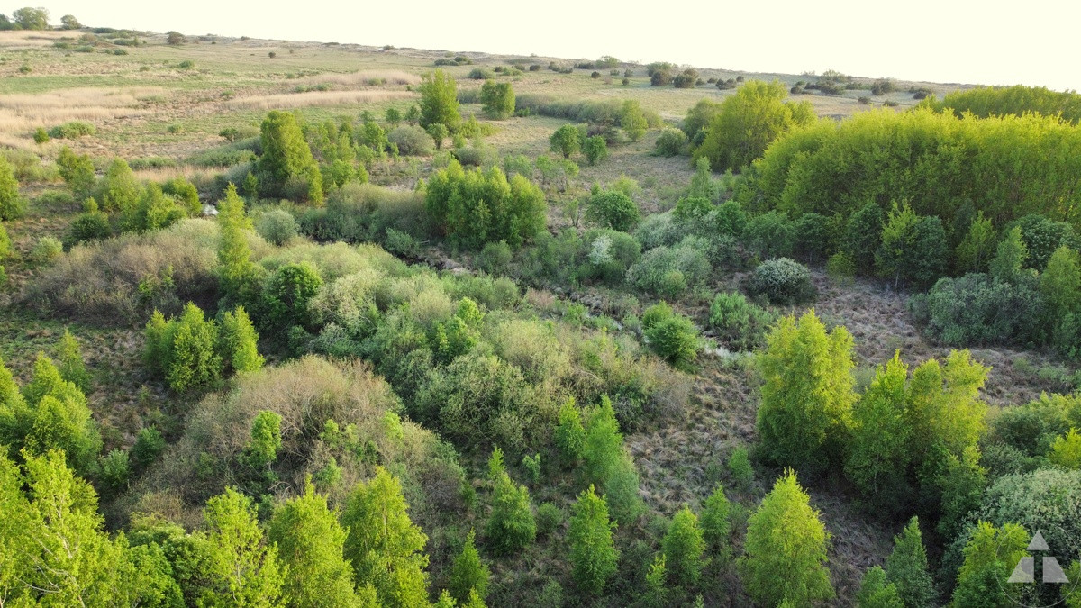 Rucavas pag., Rucavas nov. - Zemes Gabals - Pārdod - DM105432245